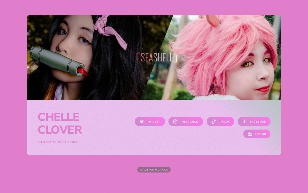 Chelle's Introduction